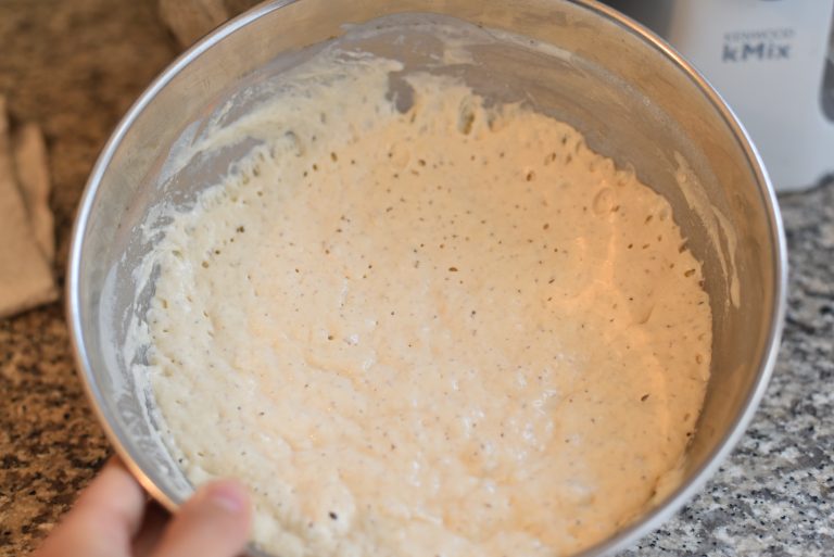 Preferment dough - variety of different preferments in bread making